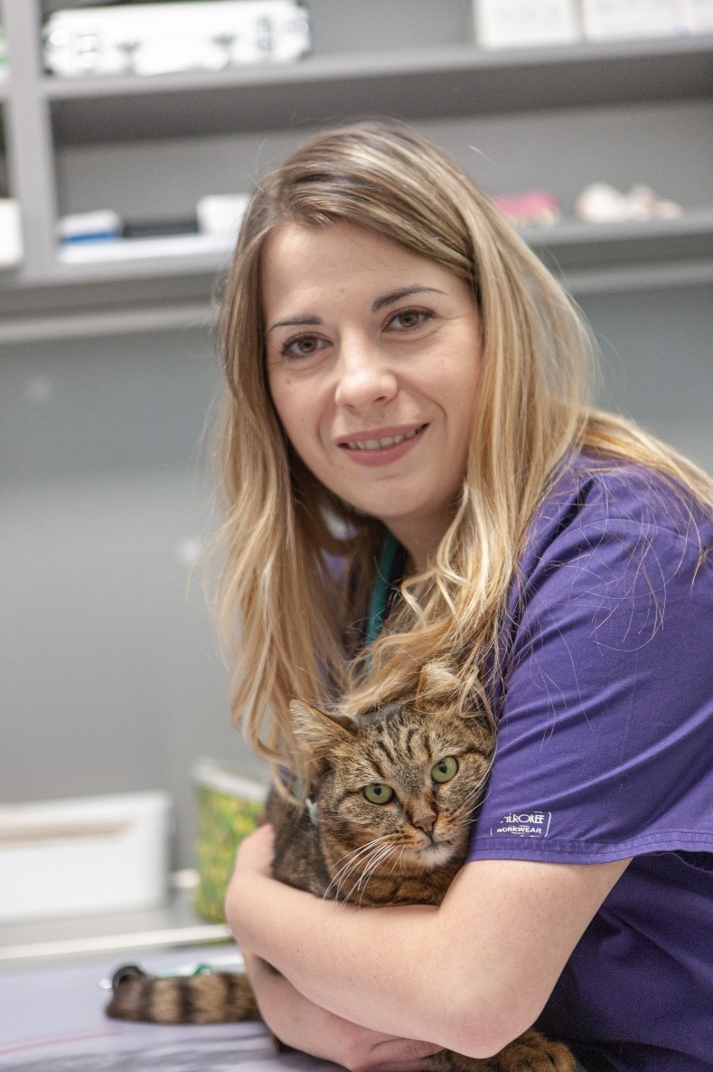 Екип Феникс Вет Ветеринарен кабинет София